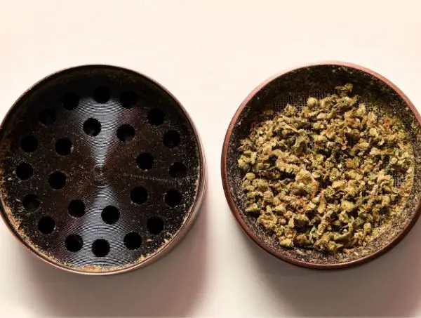 Kief : définition, effets et comment l'extraire